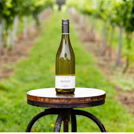 Pinot Gris Wine | Fresh White Wine | Bolney Wine Estate