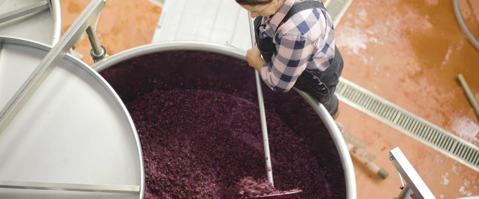 The Beginners Guide To Wine